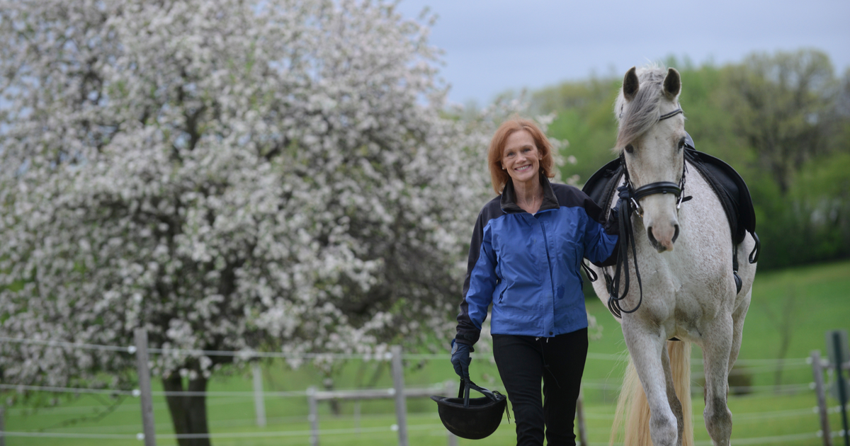 Explorations in Mindfulness | Blog | StableFeed