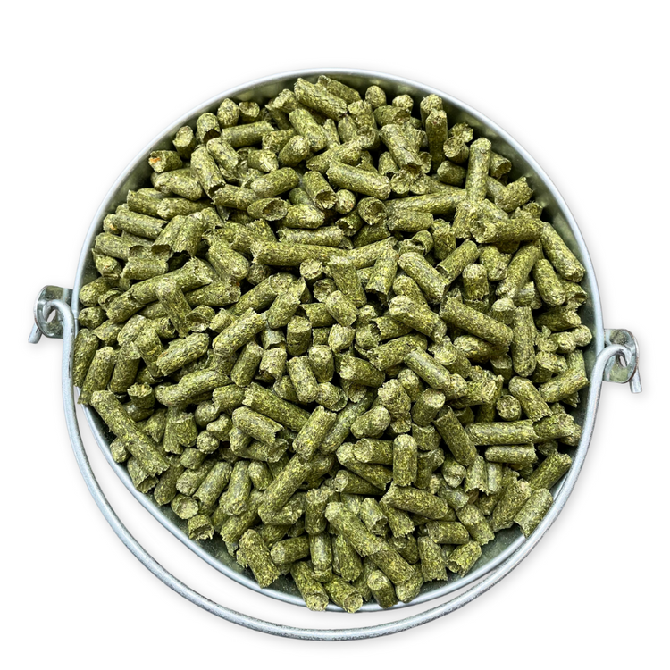 StableFeed | What You Feed Your Horse Matters